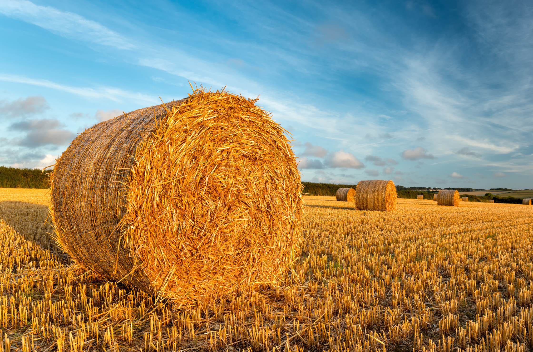 How the 2025 Tax Law Affects Trades of Machinery and Equipment